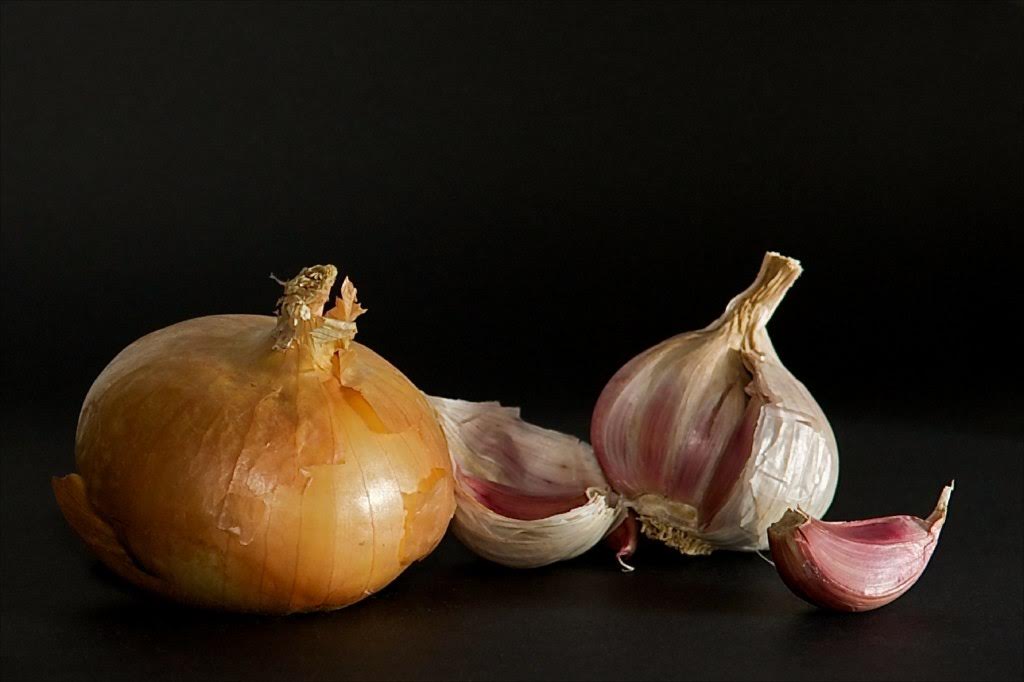 Getting to know your gut