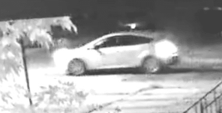 Brother finds sister fatally shot in Dearborn, $2,500 reward offered ...