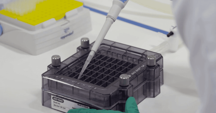 FDA allows first rapid test at home; Pfizer to seek clearance for ...