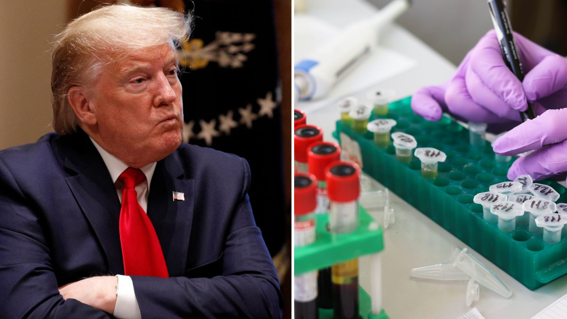 U.S. pauses Eli Lilly trial of antibody drug Trump touted as COVID-19 ...