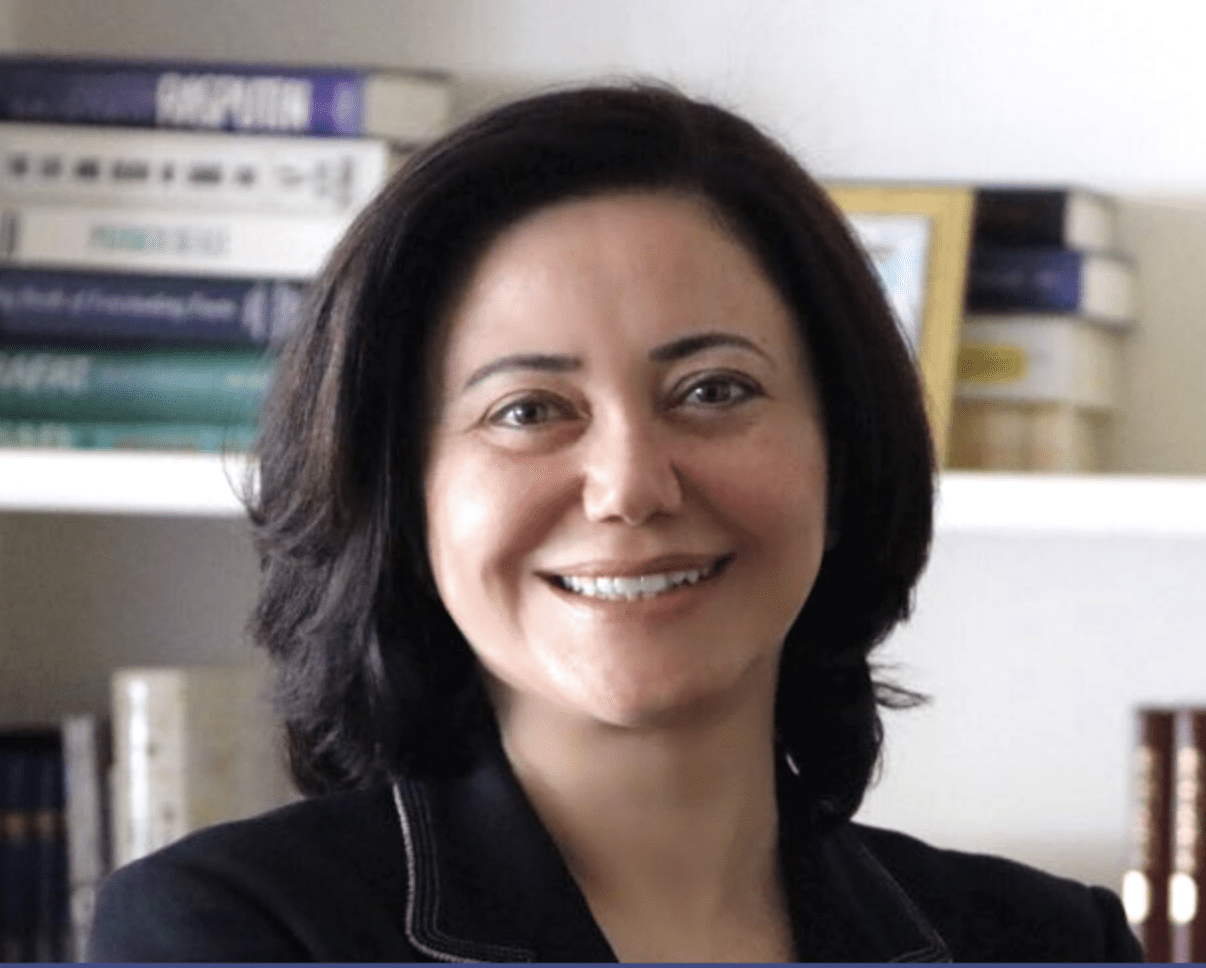 Syrian American Shadia Martini wins Democratic primary in State House ...