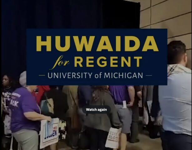 Judge rejects Huwaida Arraf’s request for an injunction on Democratic ...