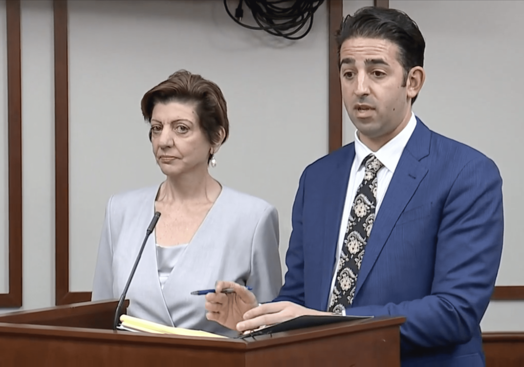 Fay Beydoun charged with16 felonies in $20 million state grant fraud case